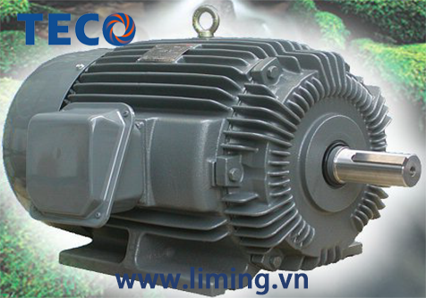 MOTOR TECO ĐÀI LOAN